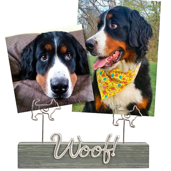 Accents | Woof Life Expressions Clip Frame By Malden Usa | Poshmark